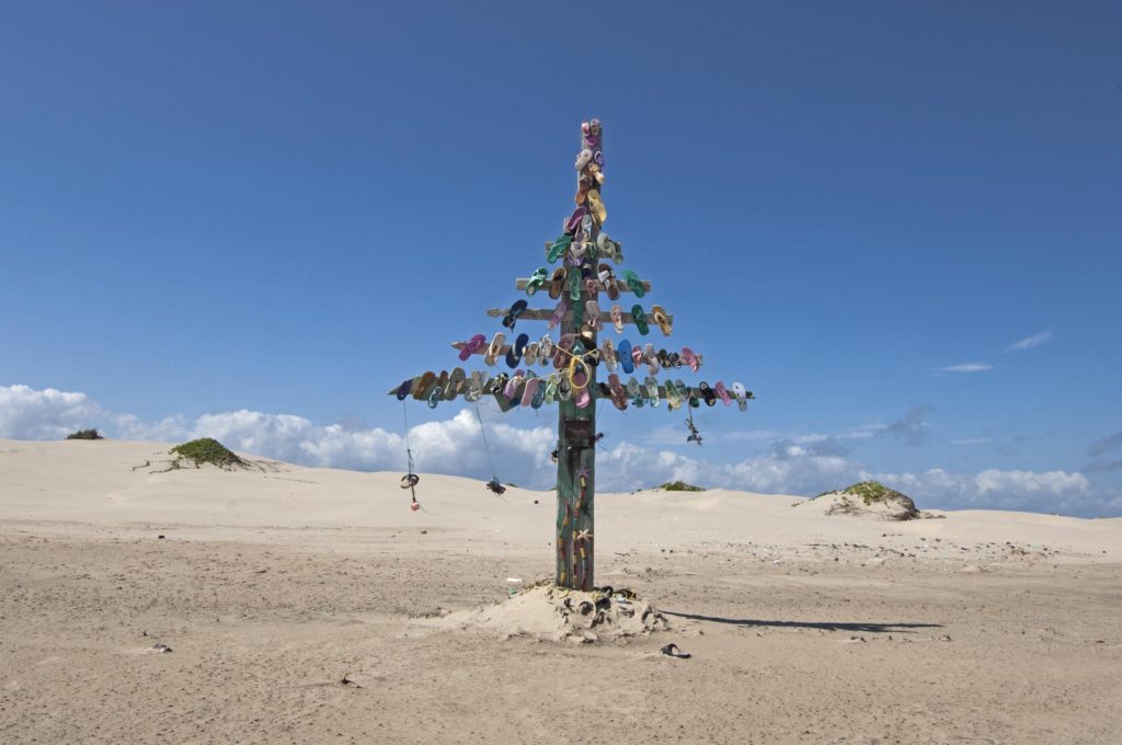 South Padre Island Flip Flop Tree – Climate Change Photography